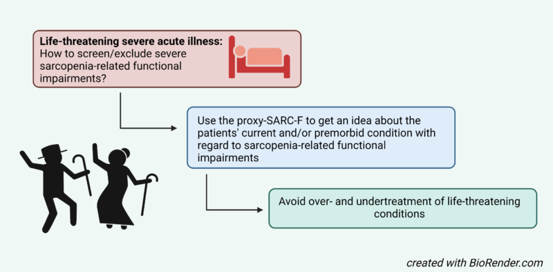 SIOG – International Society of Geriatric Oncology